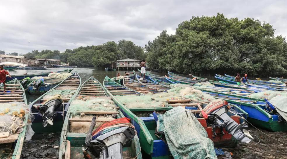 Gabon Refuse de Prolonger Accord de Pêche Européen - Africa Press France