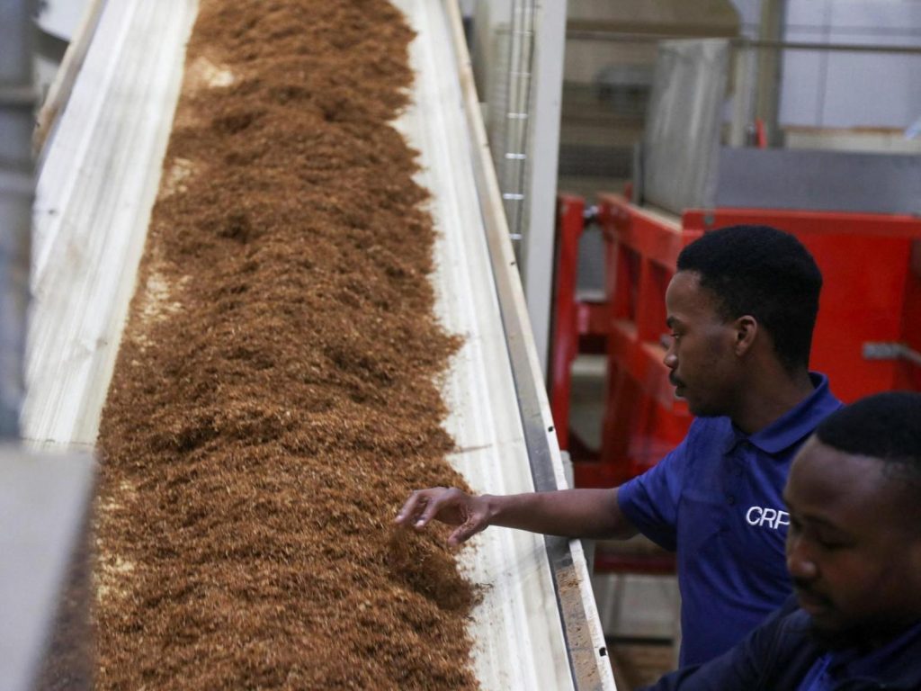 Zimbabwe Launches Africa's Largest Tobacco Processing Plant - Africa ...