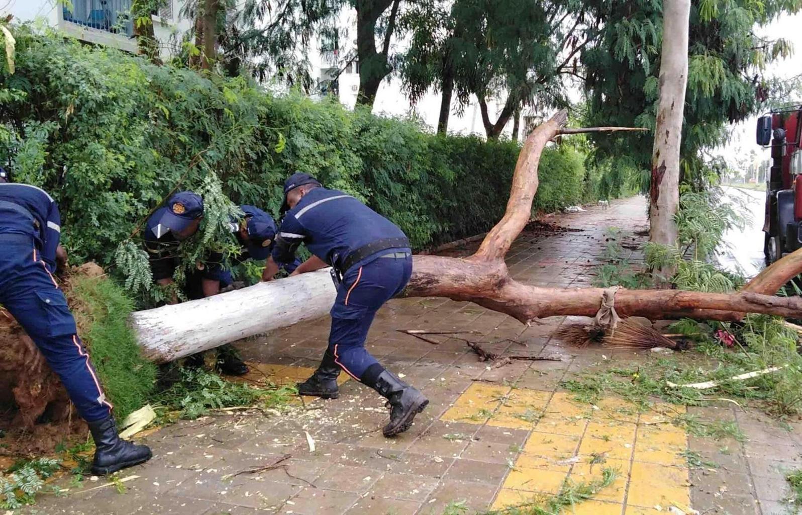 Outstanding natural disaster monitoring system - Angola