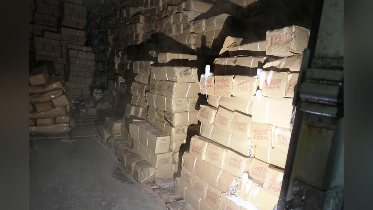 Fish catch levels with 330 thousand tons - Angola