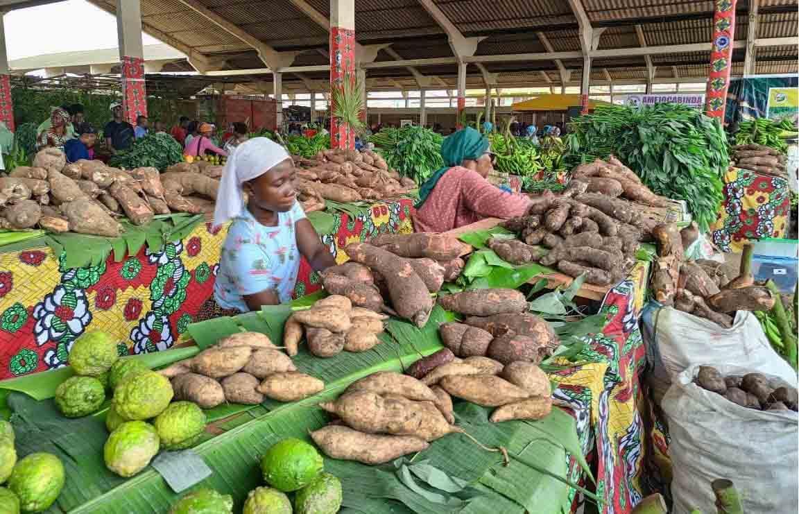 Four hundred exhibitors participate in the II edition of the Banana ...