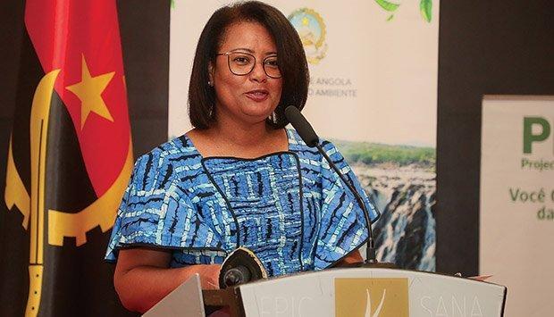 Angola at the Conference on Afforestation and Reforestation - Angola