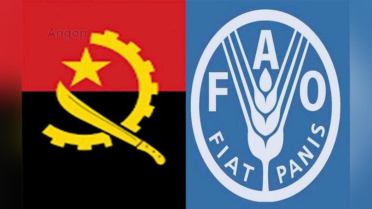 FAO Aims to Strengthen Family Farming in Angola - Angola