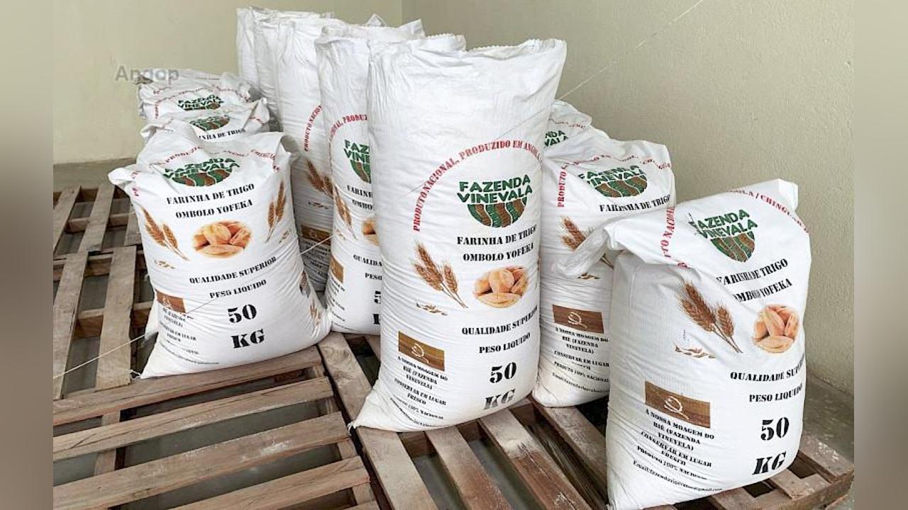 President João Lourenço Foresees Increased Rice and Wheat Production in ...