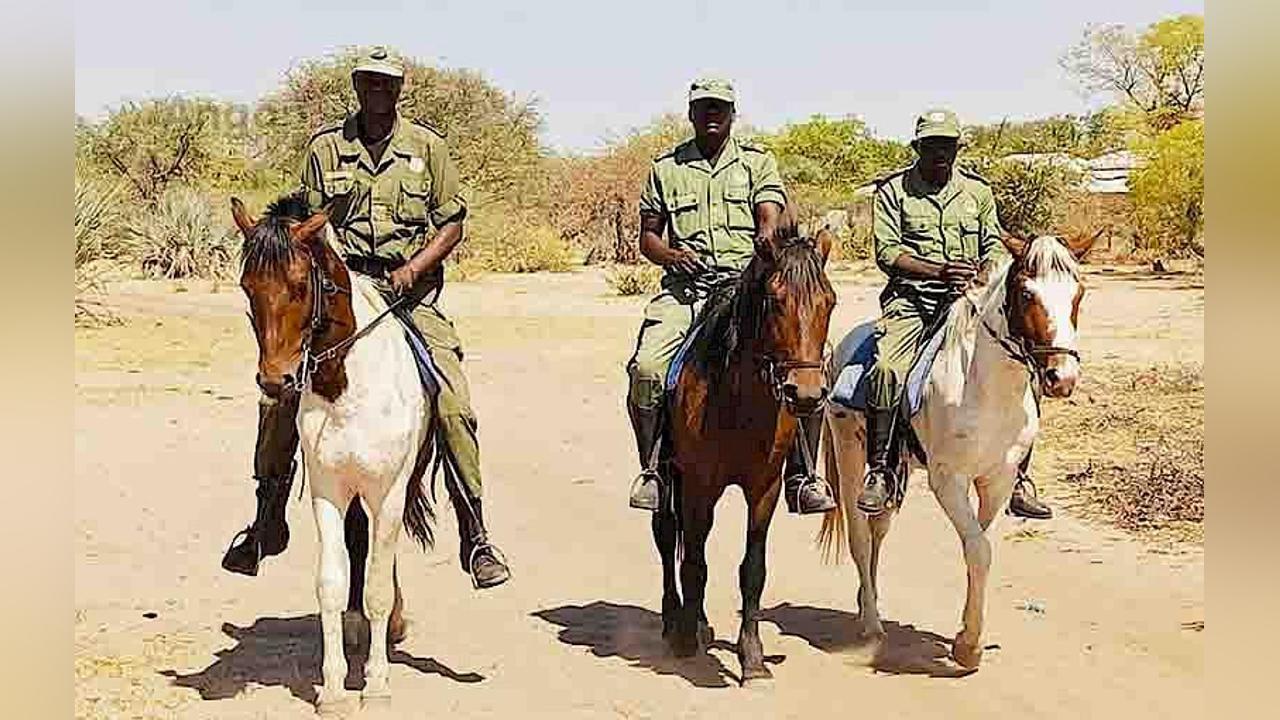 PGF Interrogates more than 23K Transgressors on Southern Border - Angola