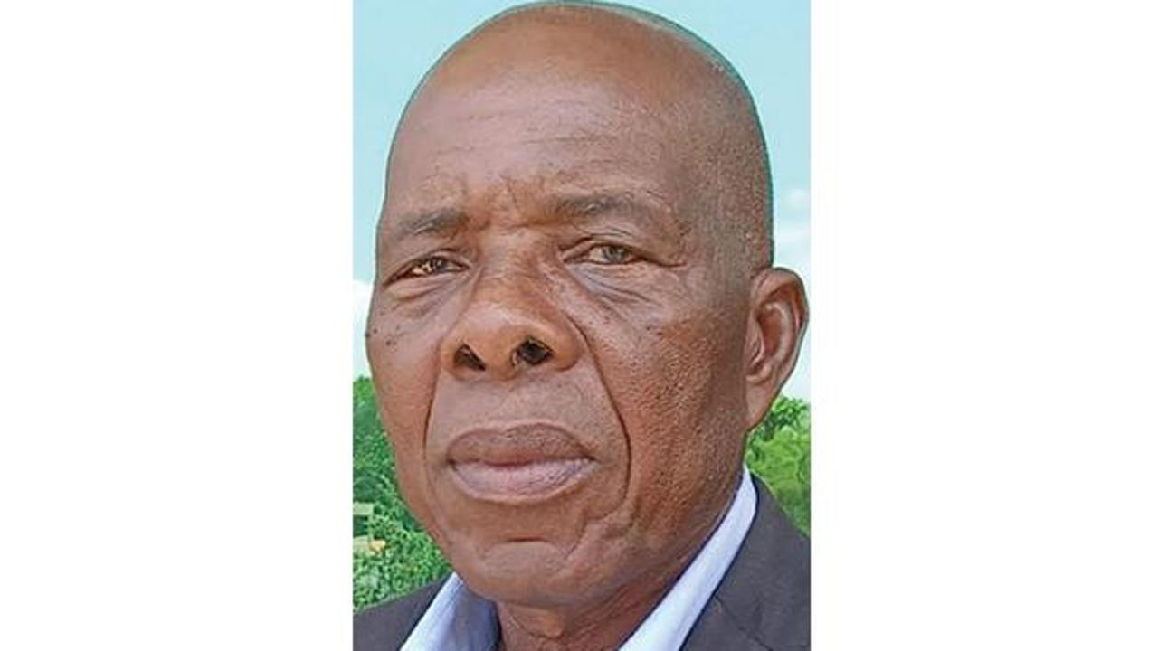 FNLA is Engaged in Party Revitalization - Angola