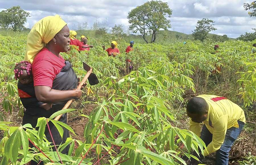 Cunene Seeks more Investment in Rural Trade - Angola