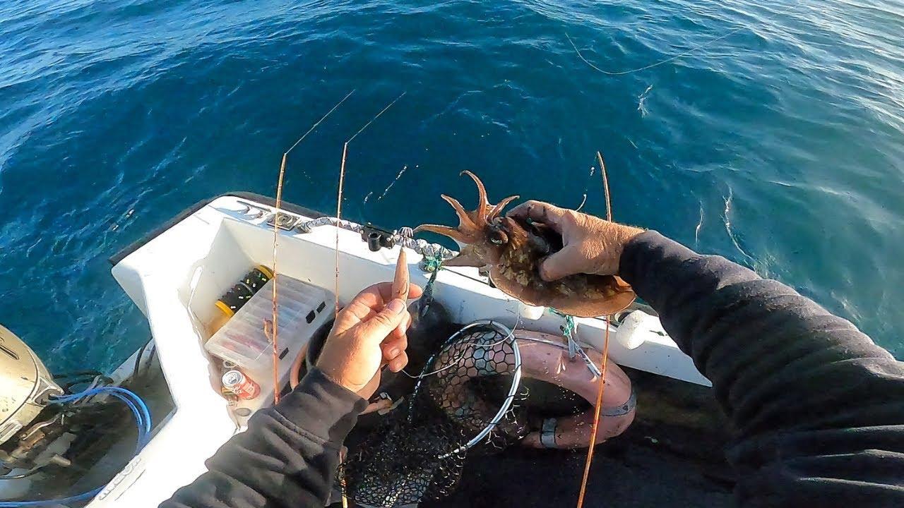 Trader Fishing Wins Cuttlefish Fishing Competition - Angola