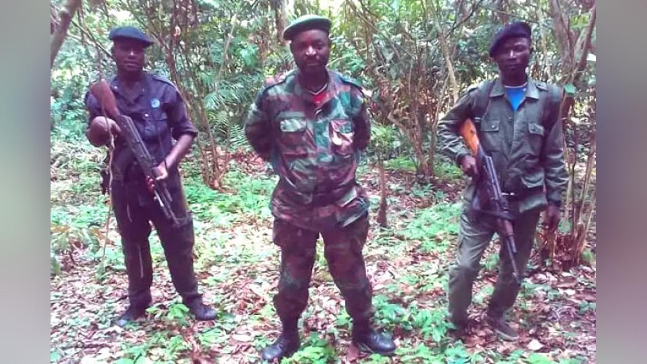 FLEC-FAC Declare Unilateral Ceasefire with Immediate Effect in Cabinda ...