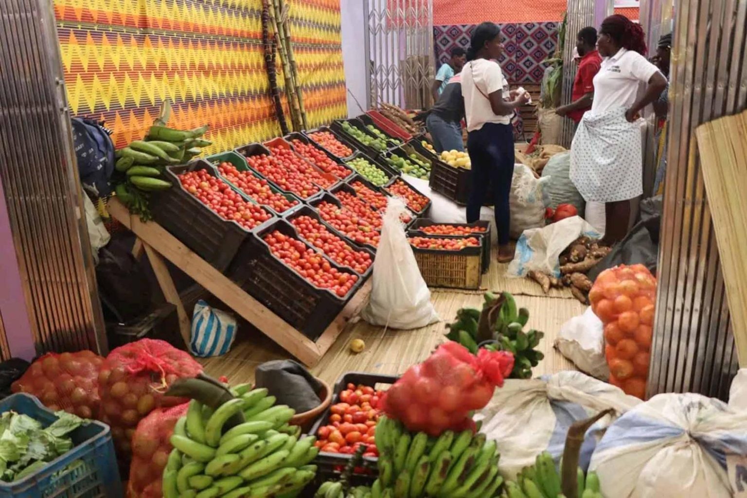 Potato Fair Kicks off in Lubango with 70 Exhibitors - Angola