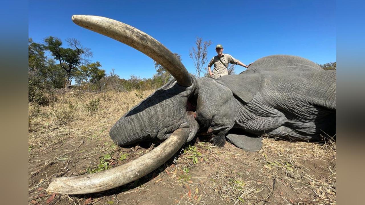 NCONGO CONDEMNS UK REPORT ON HUNTING - Botswana