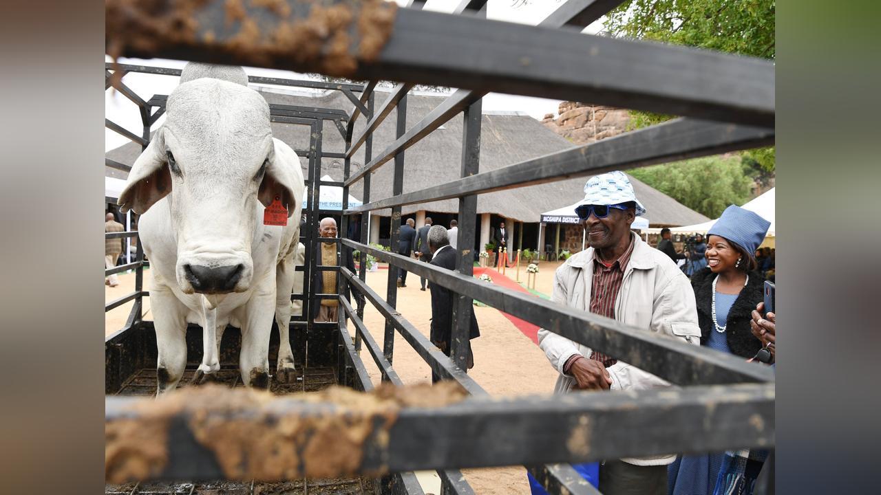 TSUTSUGA SQUATTERS TO IDENTIFY PLACE FOR RELOCATION - Botswana