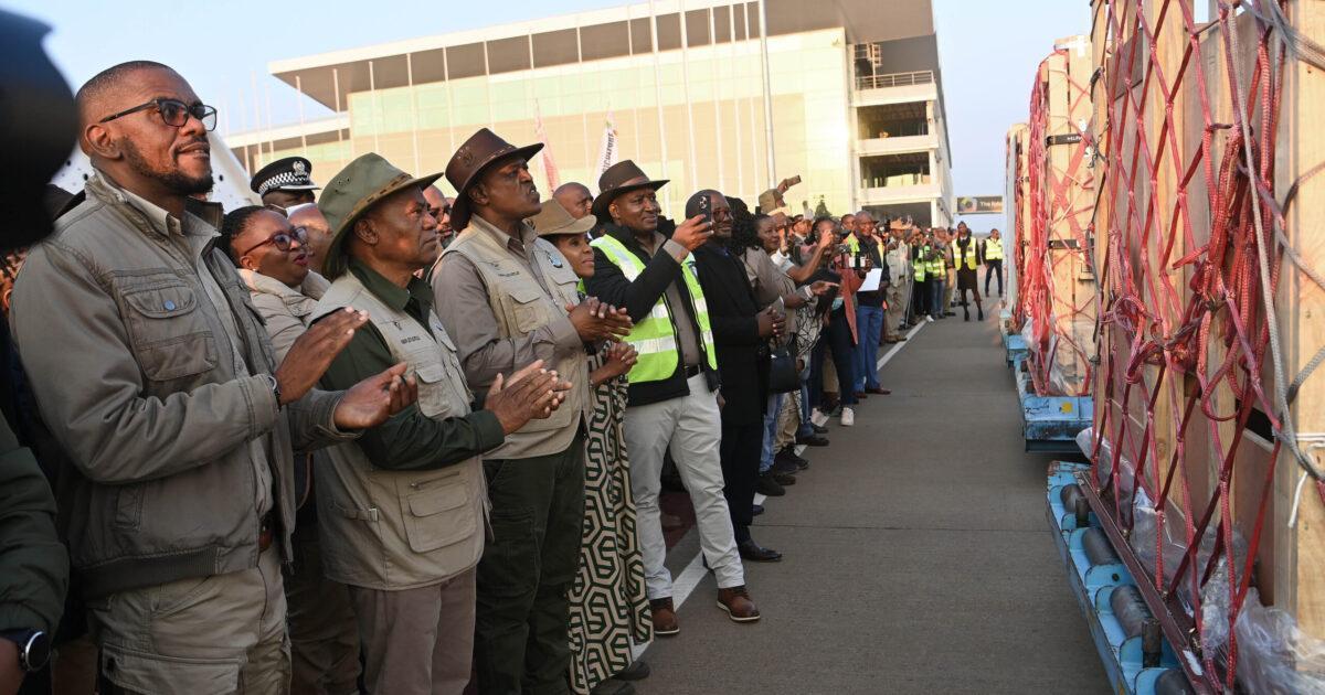 Masisi Banking on Serame, Mzwinila Primaries Victories for Succession ...