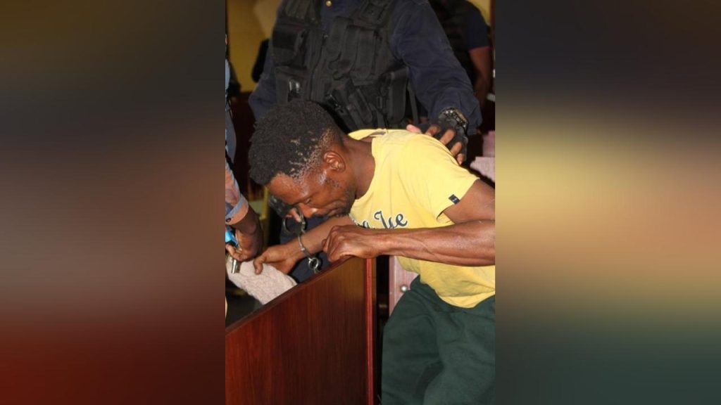Filicide Triple 'Murderer' Finally Arraigned - Botswana