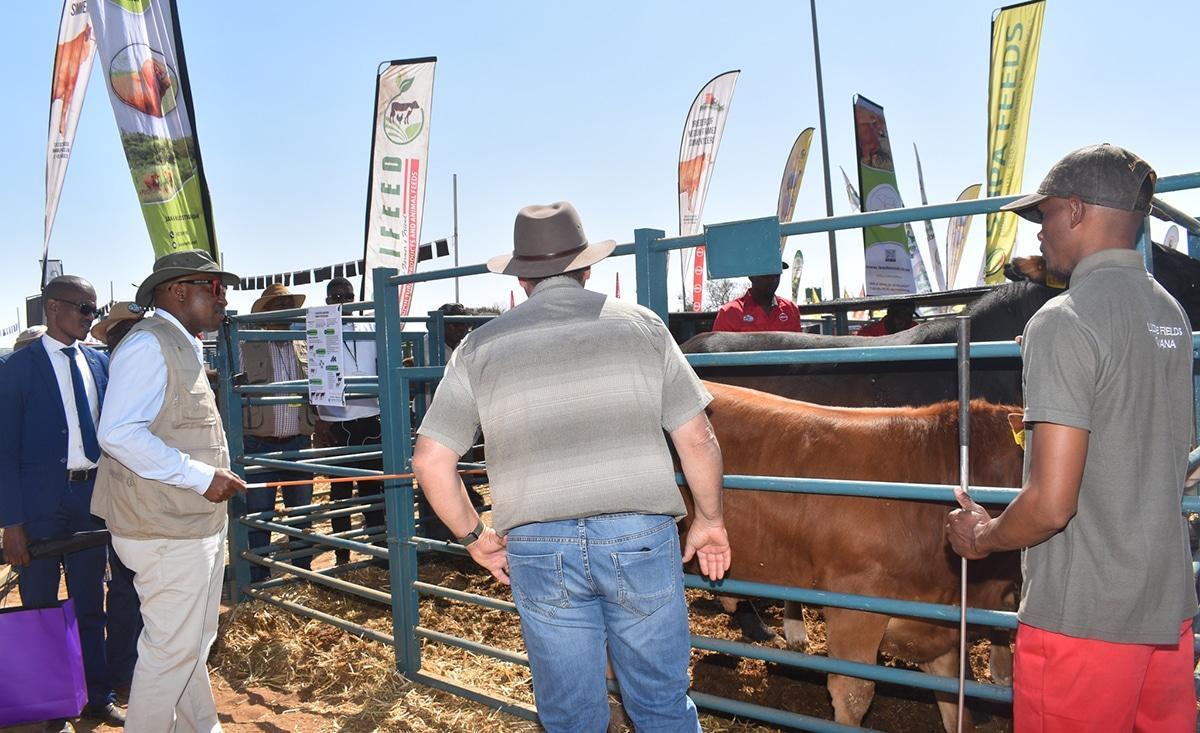 Over 4 100 Apply for Thuo Letlotlo - Botswana