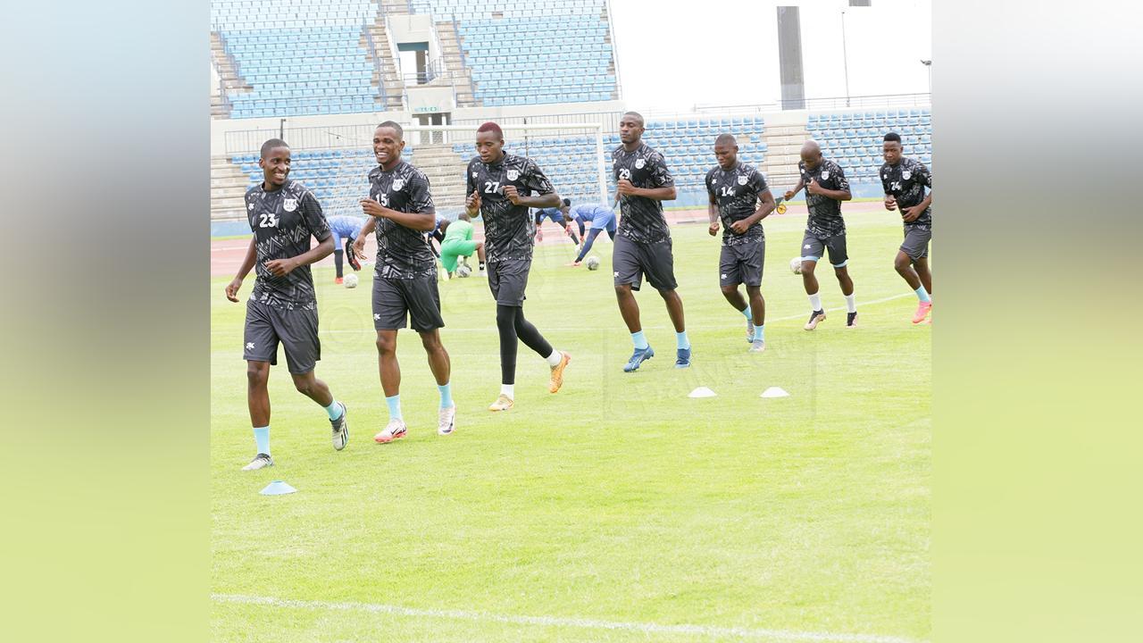 Zebras Face Mammoth Task - Botswana