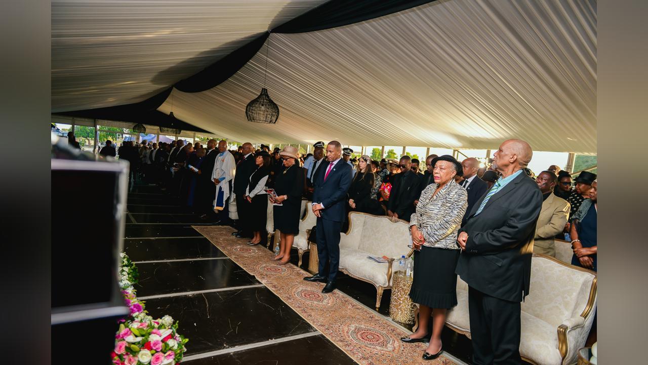 Dr Chiepe Deserves to be Honoured - Botswana