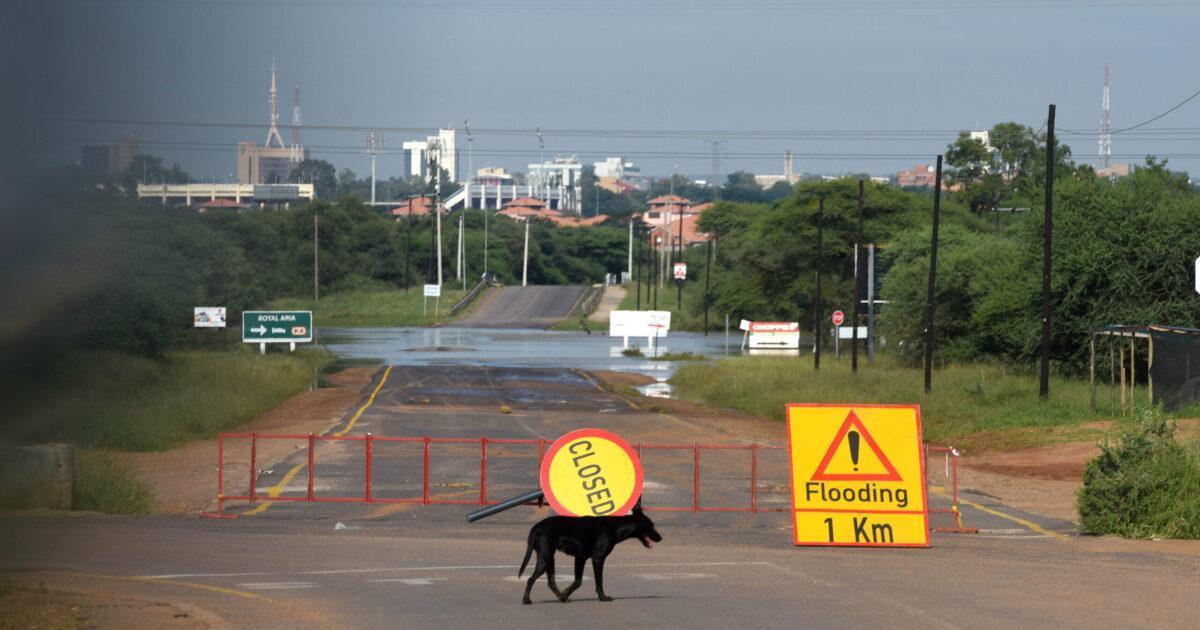 Botswana’S Floods: A Nation Drowning in its own Short-Sightedness ...