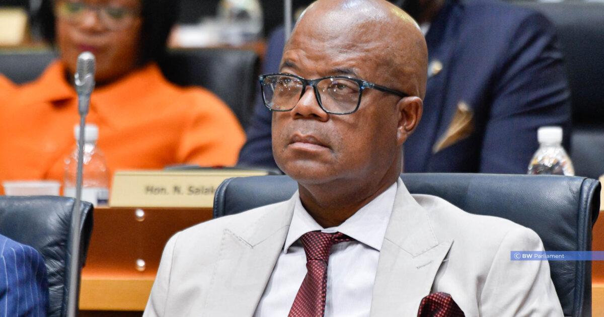 Presidency Submits DISS to Mps for Scrutiny - Botswana