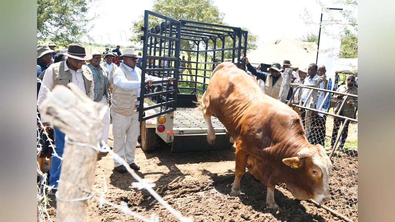 Official Advises Farmers to Embrace and Adopt Insurance - Botswana