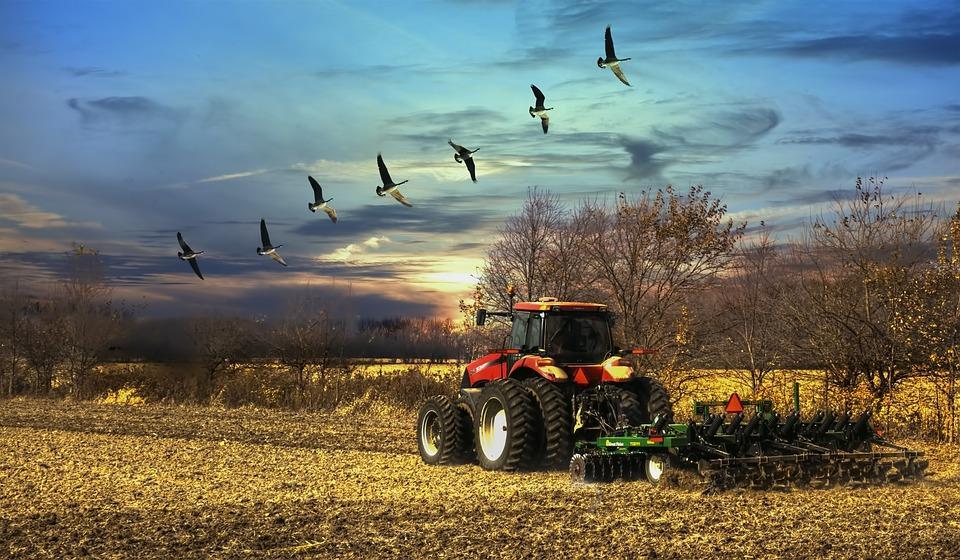Tanzania Launches E-Kilimo to Transform Agriculture - Botswana
