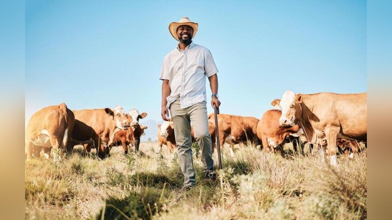 Lab-Grown Meat: Implications for Botswana’S Cattle Farmers - Botswana