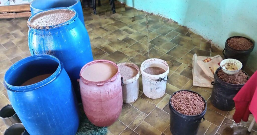 How Traditional Beer Brewed Botswana’S Livelihoods - Botswana