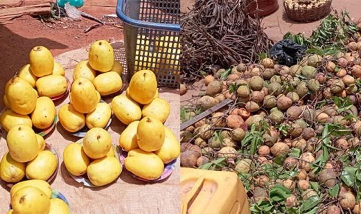 Le melon et la liane goïne, les fruits prisés du moment - Burkina Faso