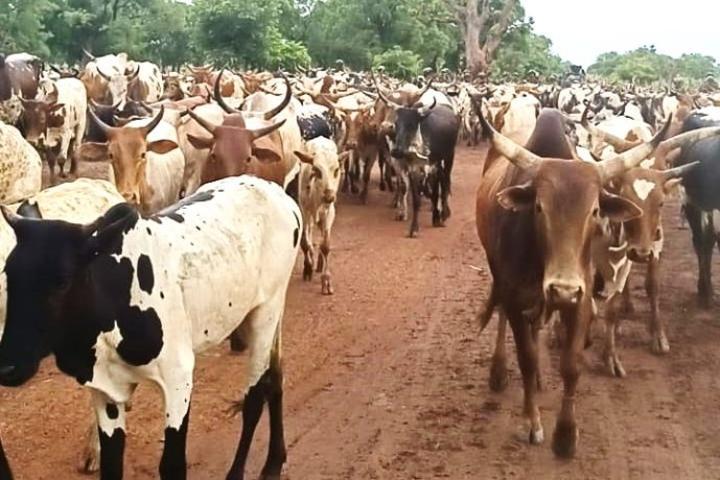 Solenzo : Les combattants du 18e BIR neutralisent des terroristes et ...