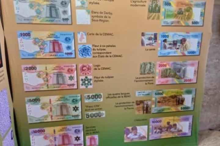 Cemac : la Beac expose les nouveaux billets de banque - Cameroun