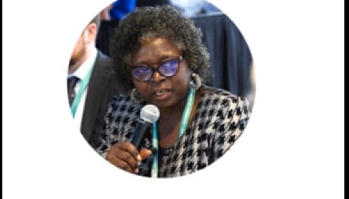 COP 16: les Apports de la Camerounaise Prudence Galega Salués - Cameroun