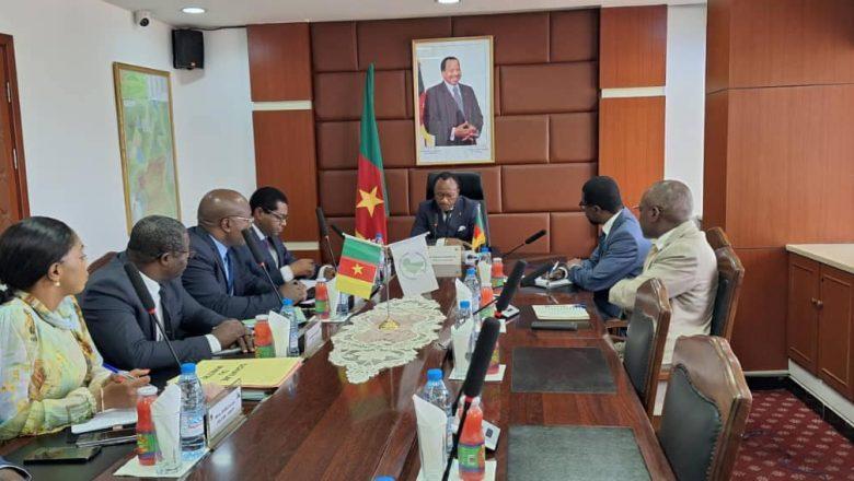 Cameroun-aménagement des routes de l’Est : voici la priorité selon le ...