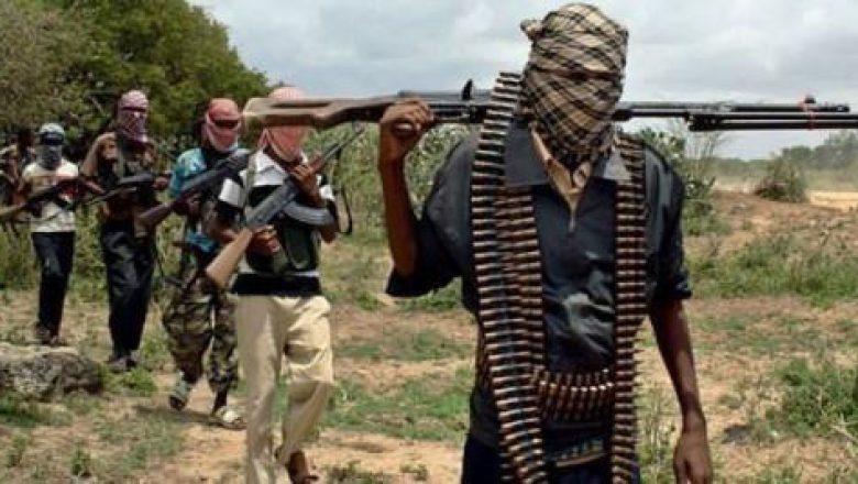 Nouvelle Attaque Meurtrière de Boko Haram au Cameroun - Cameroun