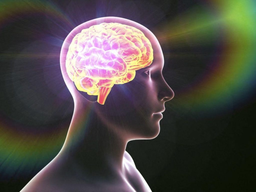 Ne Plus Penser À Rien Est Possible Dans Le Cerveau - Cameroun