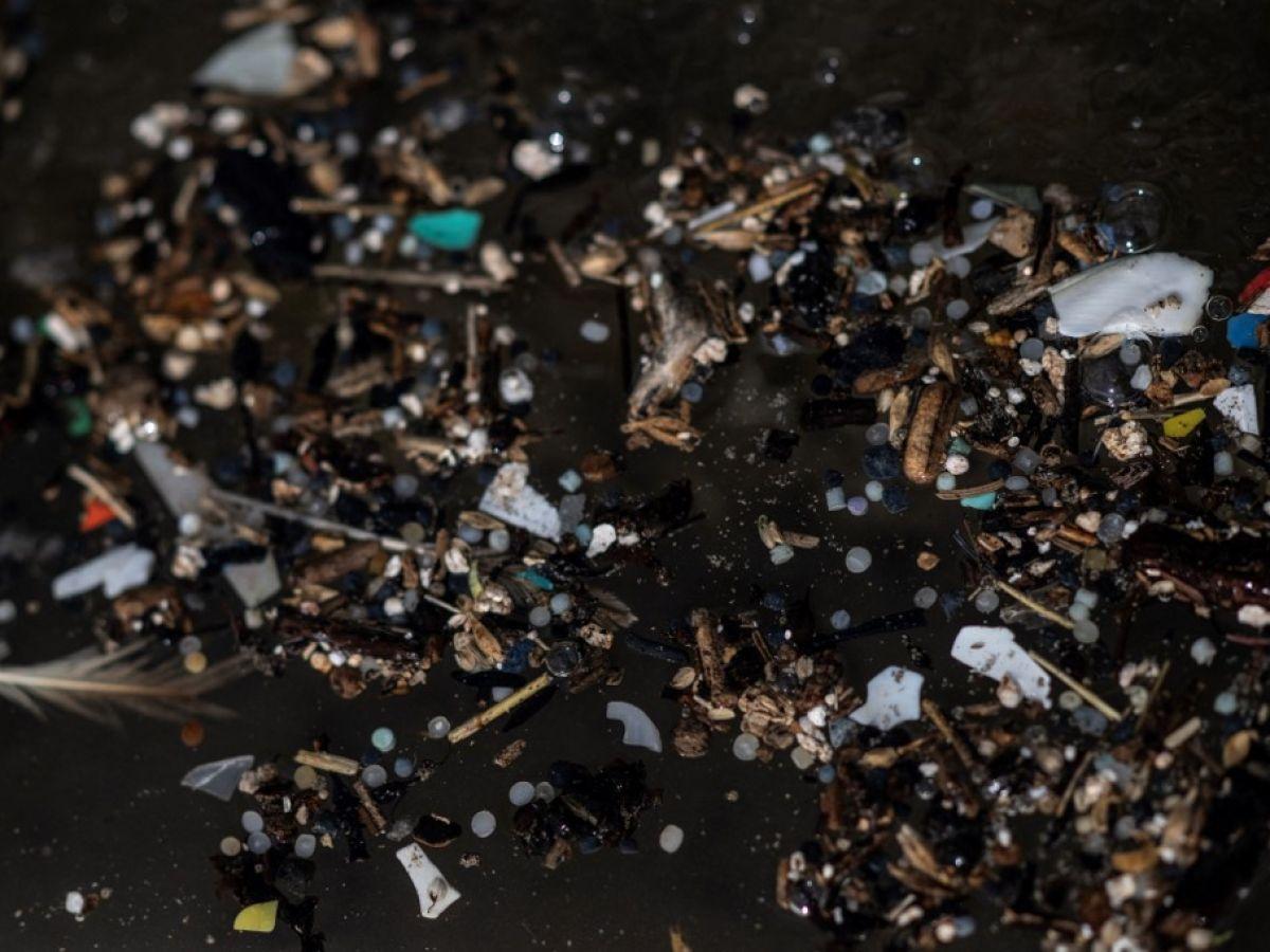 Les microplastiques peuvent pénétrer profondément dans l'organisme des ...