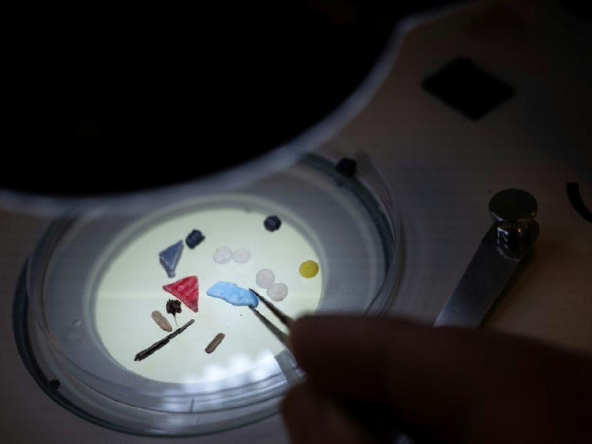 Les microplastiques pénètrent profondément dans l’organisme des ...