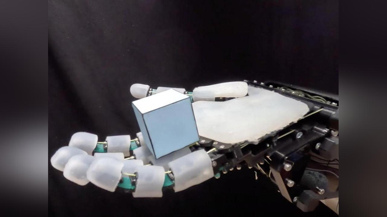 Une Main Robotique Plus Simple, Plus Efficace, Plus Humaine - Comores
