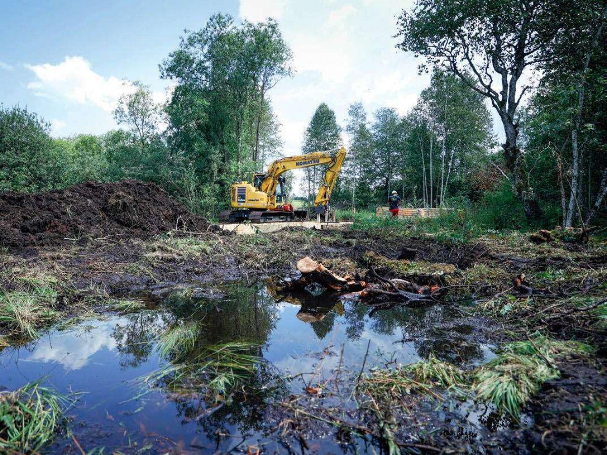 Les Tourbières, un Rempart Contre le Carbone - guinee Conakry