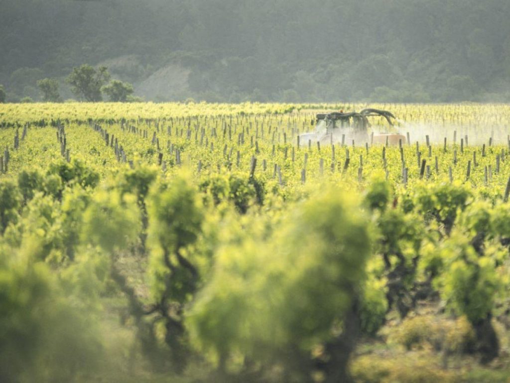 Explosion Des Cancers Du Pancréas Liée Aux Pesticides - Congo Brazzaville