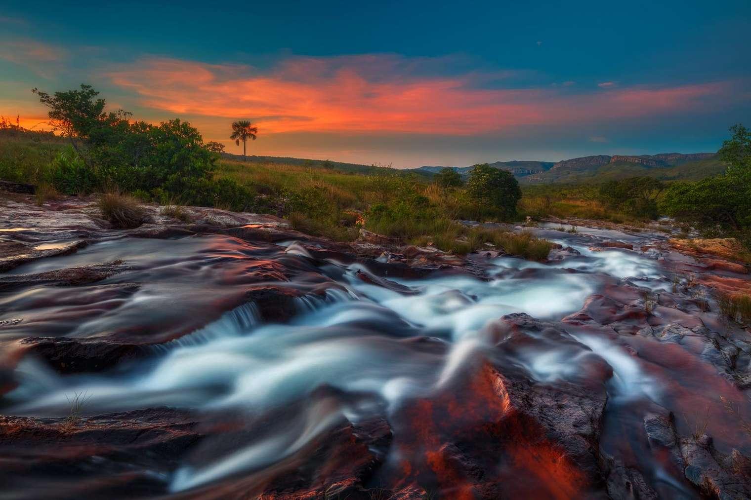 La savane du Cerrado, l'autre trésor du Brésil à protéger - Congo-kinshasa