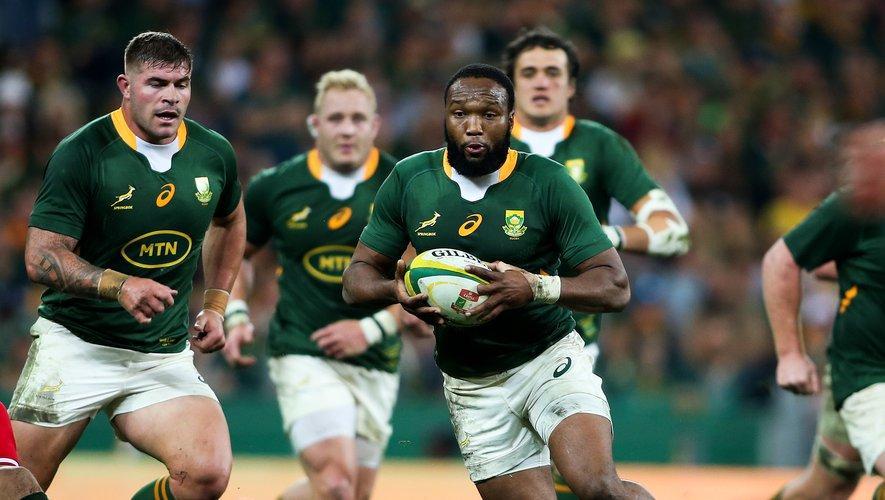 Mondial de Rugby : les springboks à Toulon pour les derniers réglages ...