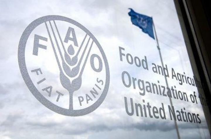 Lutte Contre les Ravageurs en Afrique : la FAO Reçoit un Coup de Pouce ...