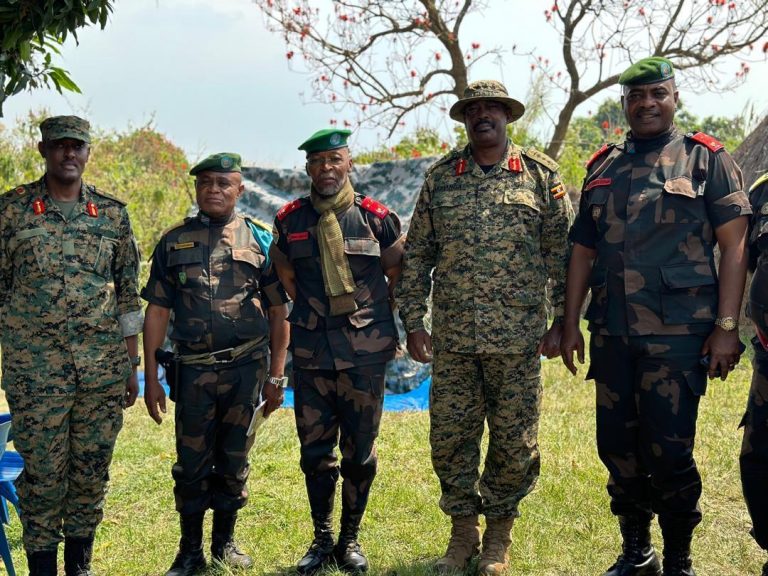Mambasa: Opérations FARDC-UPDF et prudence des agriculteurs - Congo ...
