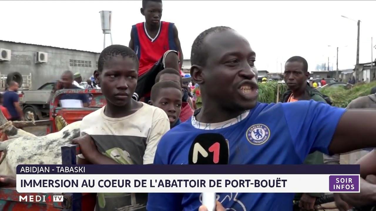 immersion au cœur de l´abattoir de Port-Bouët - Côte d'Ivoire