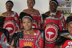 LIKE INGATJA:Lutsango regiment might receive iMbasha from King during ...