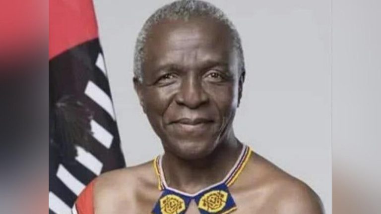 MP TIMOTHY MYENI:Minister Prince Simelane must be arrested for inciting ...