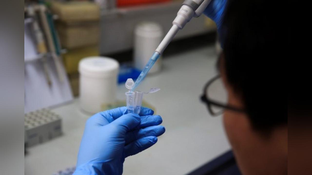 Largest lab site opens for science tech startups in Switzerland - Eswatini