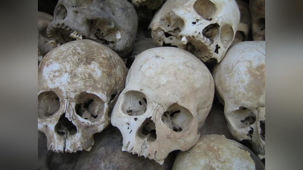 The Fossil Skull that Rocked the World – 100 Years Later Scientists are ...