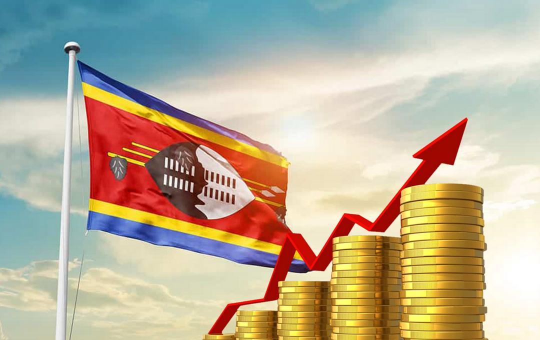 Swazipharm Director Kareem Ashraff Invades Chief Justice’S Offices ...