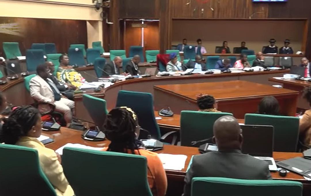 Lazwide Parliament Submission - Eswatini